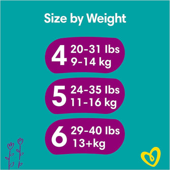 Pampers Premium Protection Size 6, 48 Nappies, 13kg+, Jumbo+ Pack ...