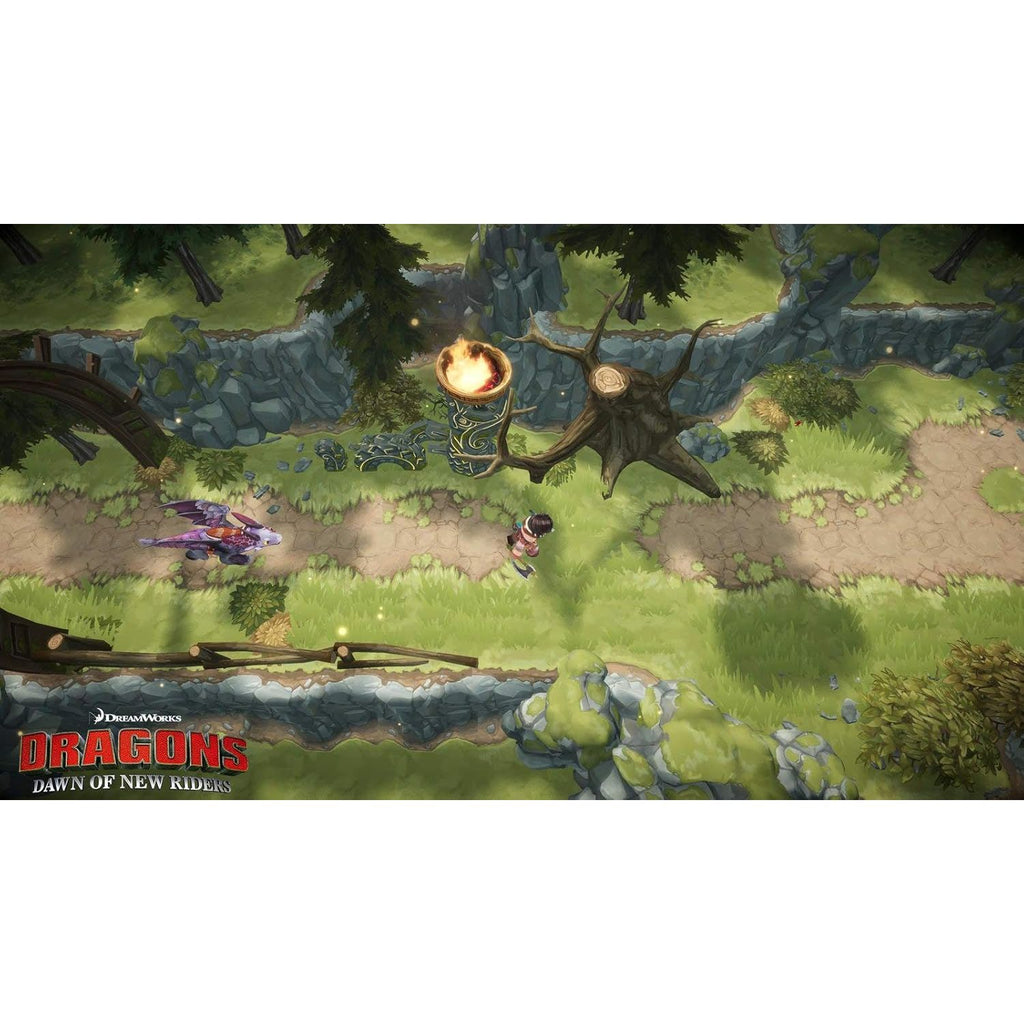 Dragons Dawn of New Riders - PS4 Game | Gadcet UK Video Game Software £ ...