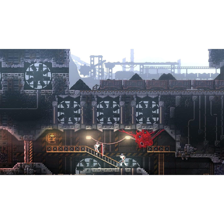 Carrion for switch store