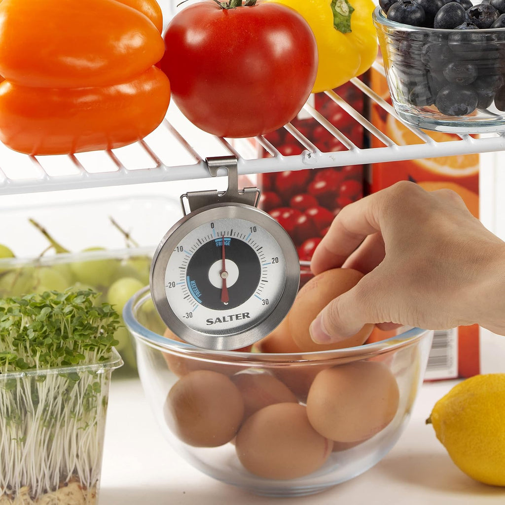 Salter 517 SSCR Fridge Thermometer - Stainless Steel Large Dial, Water ...