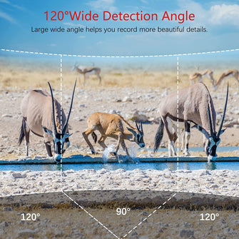 Vanbar D500 Trail Wildlife Camera 20MP - Forest Camo | Gadcet.com