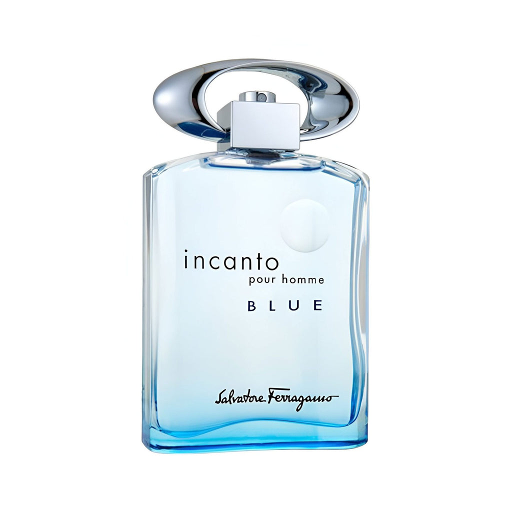 Salvatore Ferragamo Incanto Pour Homme Blue 100ml Eau de Toilette Spra ...